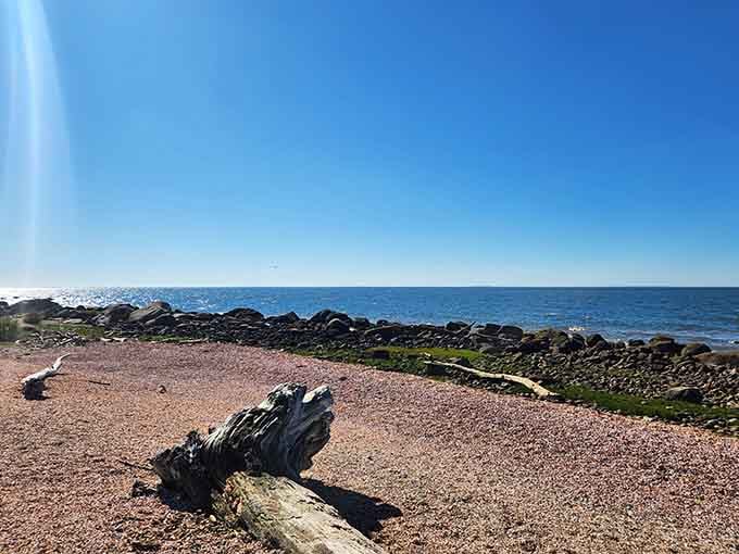Driftwood, pink pebbles, and endless blue sky — Hammonasset's rugged shoreline is pure Connecticut magic.
