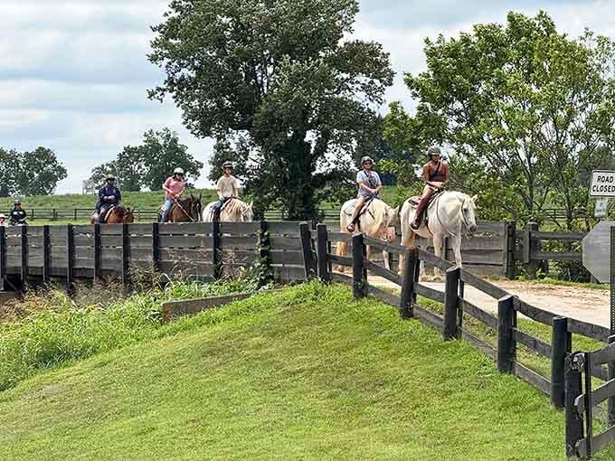 Rolling green pastures and pristine white fences create a scene so perfect you'll think someone photoshopped real life.