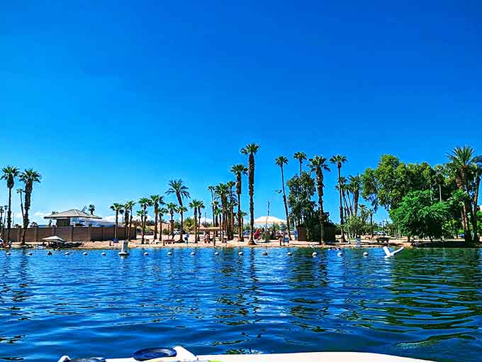 Palm trees swaying over impossibly blue water&mdash;proof that the desert knows how to throw a beach party.