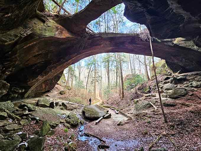 Nature's cathedral stands proud here, with moss-covered stones and a trickling stream beneath ancient sandstone arches.