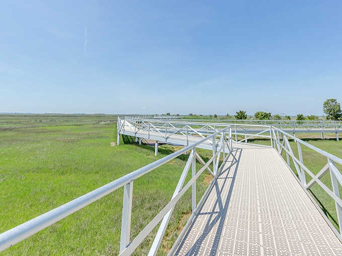 This boardwalk doesn't lead to funnel cake &mdash; it leads to something far better: pure, wide-open marsh serenity.