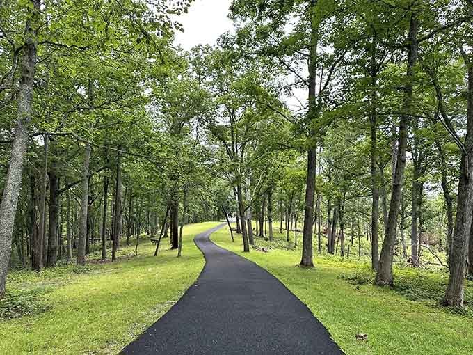 This winding path through history proves that the journey matters just as much as the destination itself.