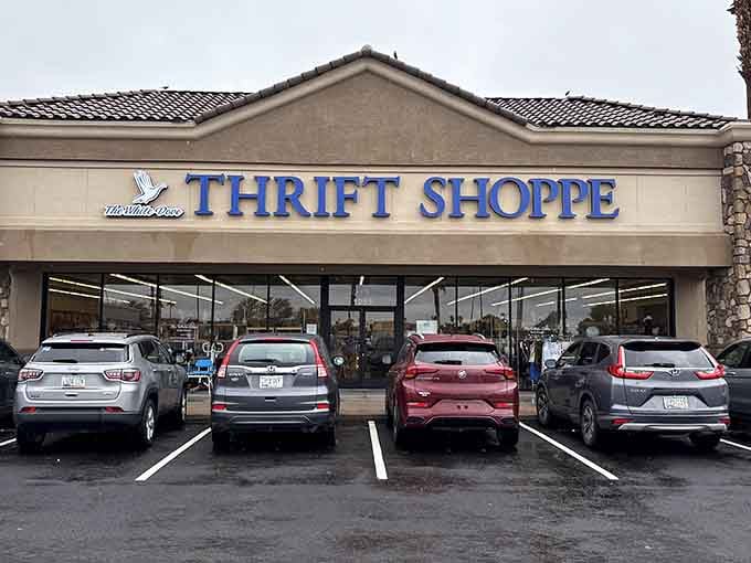 That blue signage beckons like a beacon of bargain bliss in the Arizona sun.