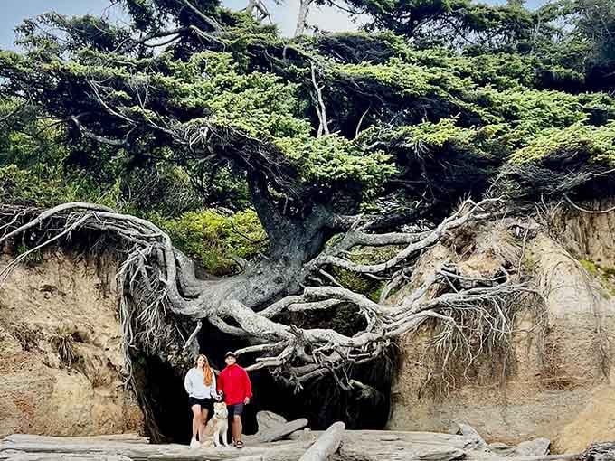 Nature's own archway, where twisted roots and two humans prove trees truly outlast us all.