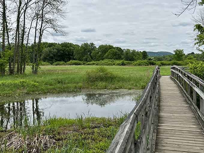 Where wetlands meet mountains, this peaceful boardwalk offers front-row seats to nature's own water show.