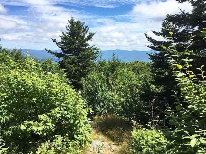 When the trees part and the mountains reveal themselves, every step of the climb suddenly makes perfect sense.
