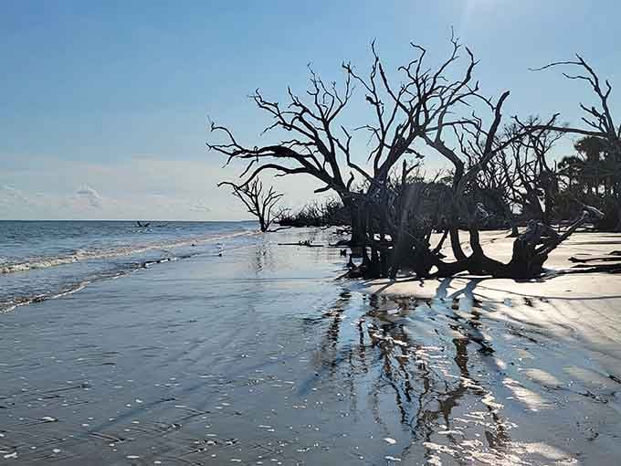 Ancient driftwood standing in the surf at Botany Bay looks like a painting that took a million years to finish.