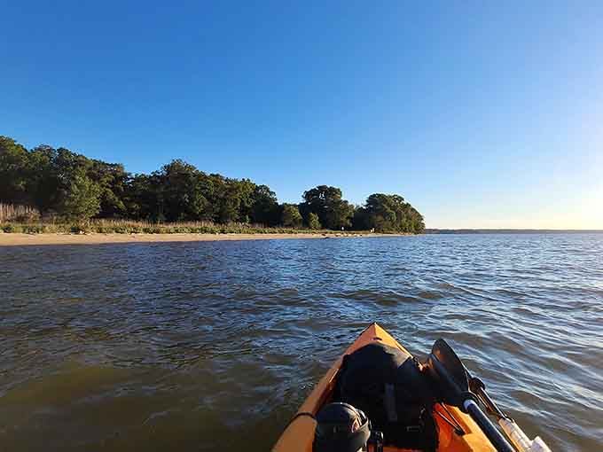 Paddling toward that golden Potomac shoreline feels like the universe finally said, "You've earned this one."