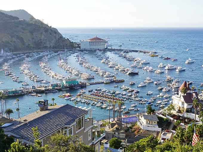 When every boat in Southern California decides to show up, Avalon's harbor becomes the world's best floating neighborhood.