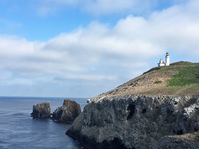 That lonely lighthouse standing guard over rocky outcrops has witnessed more sunsets than most of us ever will.