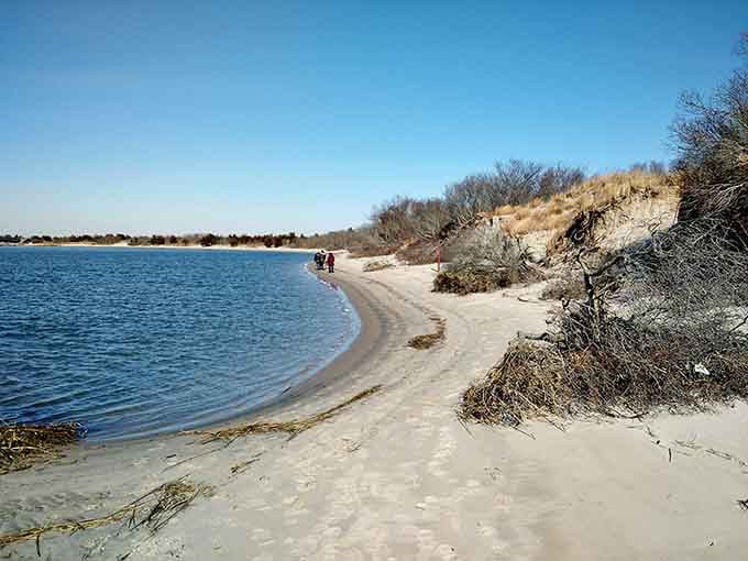 Where the inlet meets the bay, calm waters create a serene escape from the usual beach chaos.