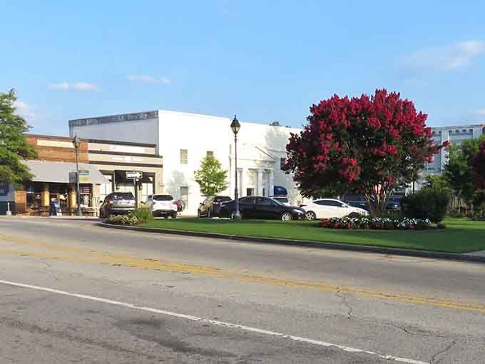A crimson crepe myrtle steals the show on this sun-drenched Edgefield main street corner.