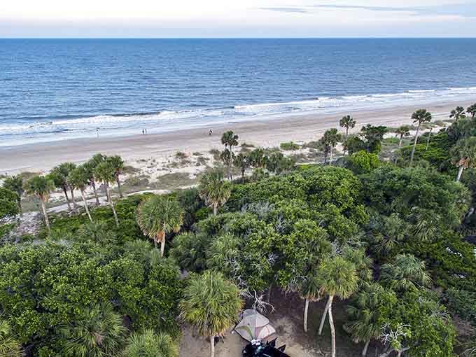 Palmetto trees frame this pristine coastline like nature's own postcard, proving paradise doesn't need a filter.