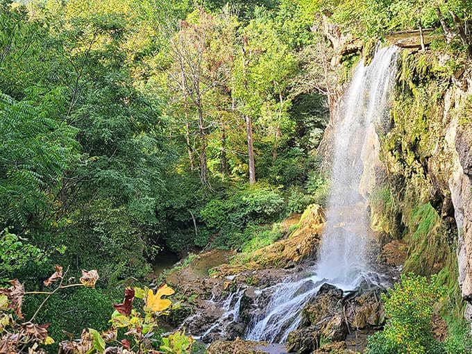 That mossy cliff face and delicate cascade prove Virginia's got serious waterfall game without the exhausting hike.
