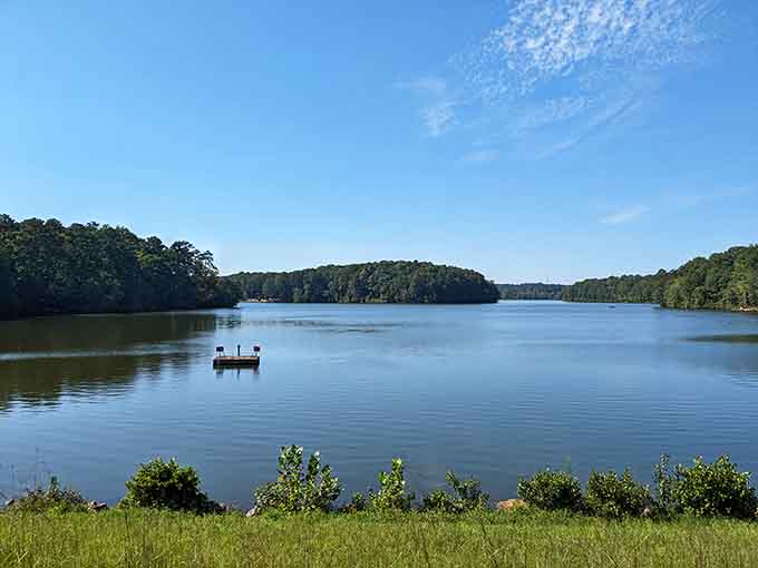 That glassy lake at Fort Yargo is basically nature's way of saying, "Put down your phone and just look."