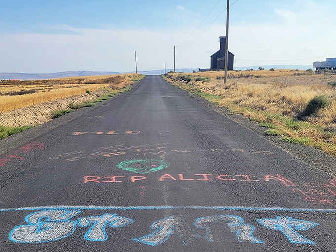 Colorful chalk messages cover the asphalt where gravity apparently forgot how to follow the rules.