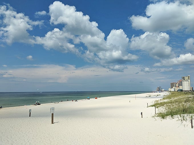Look at those fluffy clouds painting the sky while the beach stretches out peacefully below, practically begging for visitors.
