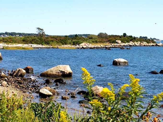 Goldenrod blooming, boulders scattered like nature's furniture — this rocky cove is gloriously, unapologetically wild.