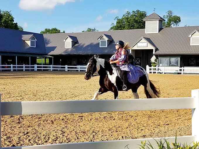 Watch elegant horses glide across the arena with the grace of Fred Astaire, minus the top hat and tails.