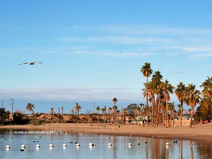 Golden hour transforms this shoreline into a postcard, complete with seabirds auditioning for their close-up.