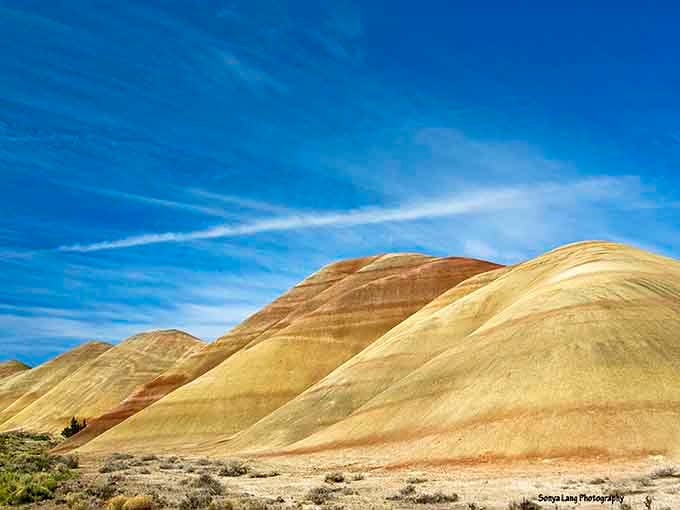 These golden hills ripple under endless blue skies like waves frozen in time and painted by hand.