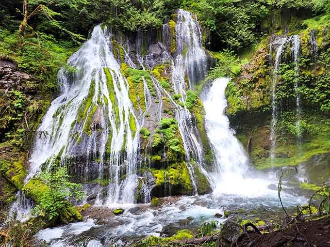 Moss-covered rocks frame this multi-tiered wonder where water dances over bright green cliffs like liquid silver.