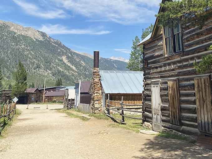 A stone chimney rises beside a weathered log cabin, quietly outlasting everyone who ever warmed their hands beside it.