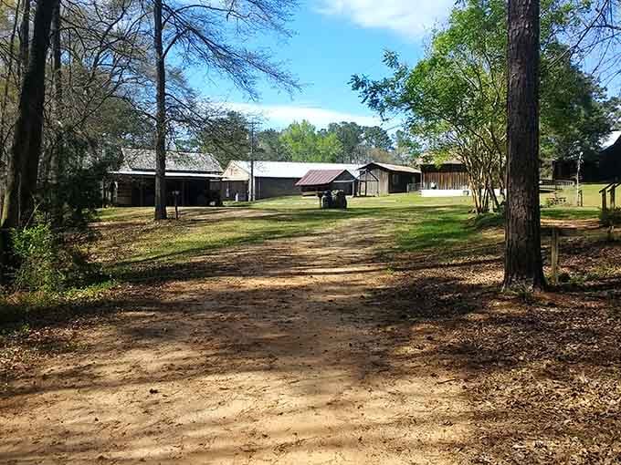 Dirt paths wind through authentic structures where pioneers once walked, probably complaining about the heat too.