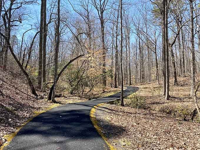 Winter's bare branches reveal the battlefield's contours, offering perspectives that summer's green canopy keeps secret all season long.