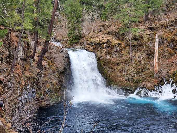A waterfall crashing into turquoise pools proves Oregon never runs out of ways to leave you speechless.