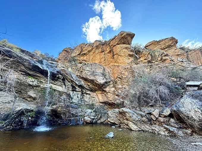 Those golden canyon walls frame the falls like nature's own picture frame, complete with a swimming hole bonus feature.