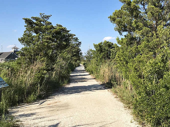 A sun-dappled gravel path winds through coastal shrubs, whispering "slow down" louder than any sign ever could.