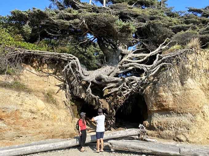 Standing small beneath ancient roots, these visitors discover the Tree of Life needs no introduction.