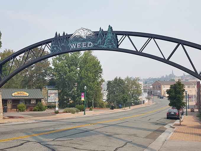 That iron arch over the road says it all: welcome to Weed, where Mount Shasta steals every glance.