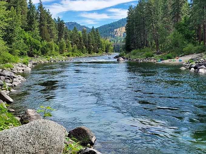 Crystal-clear water flows past rocky shores where pine-covered mountains create the perfect natural amphitheater for your float.