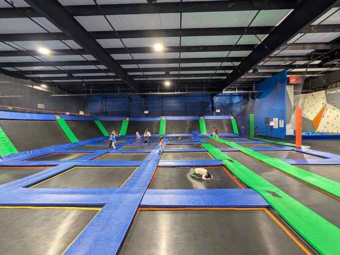 Wall-to-wall trampolines transform ordinary jumping into an art form that would make astronauts jealous of the airtime.