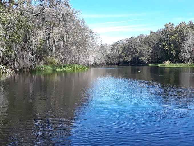 The Alafia River reflects the sky like a mirror, proving that Florida's inland waters rival any coastal view.