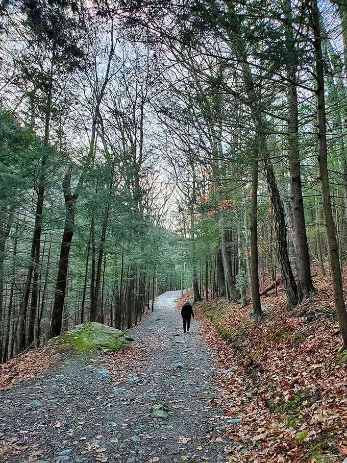 The trail welcomes you with open arms and a gentle grade that whispers sweet lies about what's ahead.