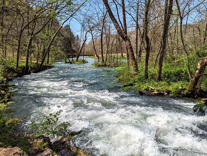 The spring run charges toward the Jacks Fork River like it has somewhere very important to be.