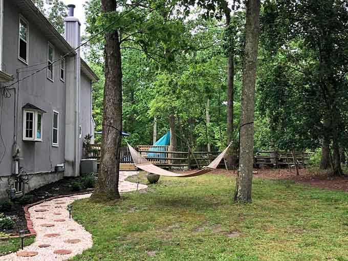 Hammocks strung between trees, because sometimes the best plan is absolutely no plan at all.