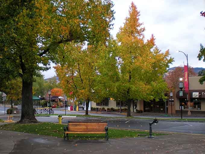 A quiet bench in autumn Ashland proves that sometimes the best seat in town costs absolutely nothing.