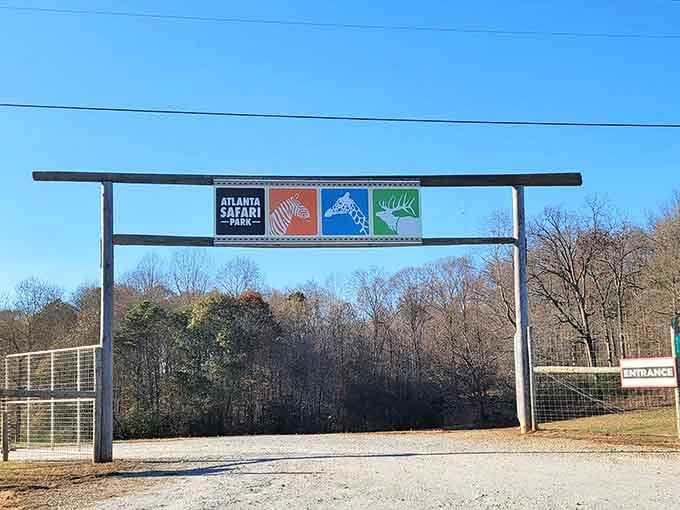 The entrance sign says "Atlanta Safari Park," but your heart says "I live here now."