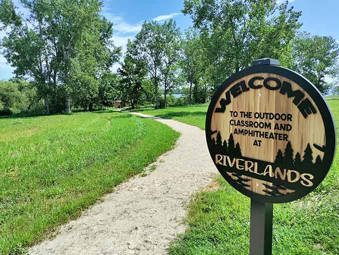 This pathway leads to nature's theater, where the performers have feathers and the reviews are always five stars.