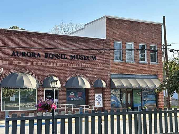 That classic brick facade has seen a lot of history, and it's just getting started sharing it with you.