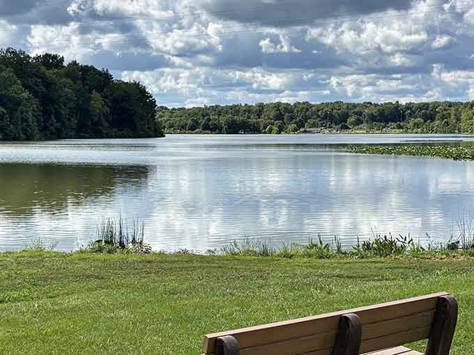 That bench isn't just furniture. It's an invitation to sit down and forget your password.
