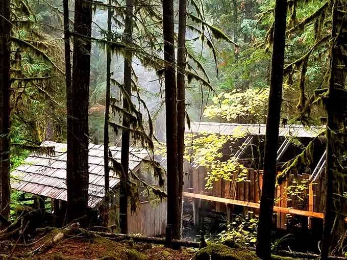 Towering Douglas firs stand guard over Bagby like bouncers who actually want you to relax.