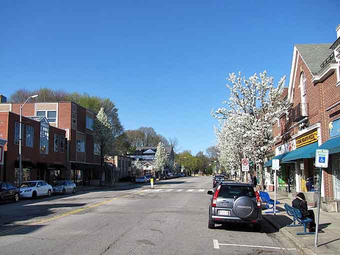 Spring blossoms frame tree-lined streets that look like they were designed specifically to lower your blood pressure instantly.