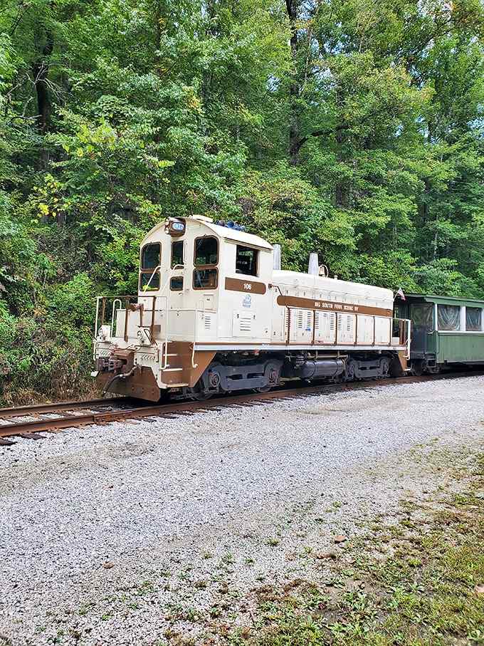 Locomotive 106 means business, a cream-and-brown workhorse that's seen more Kentucky gorge than most locals ever will.