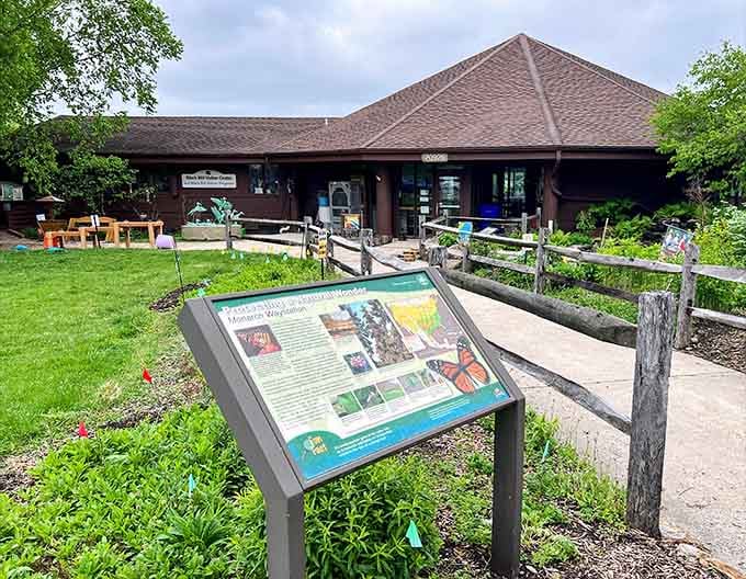 The Visitor Center is your friendly gateway to everything Black Hill has to offer, butterflies included.