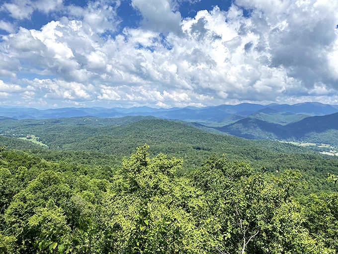Four states, one view, zero complaints. This is what Georgia looks like from the top.